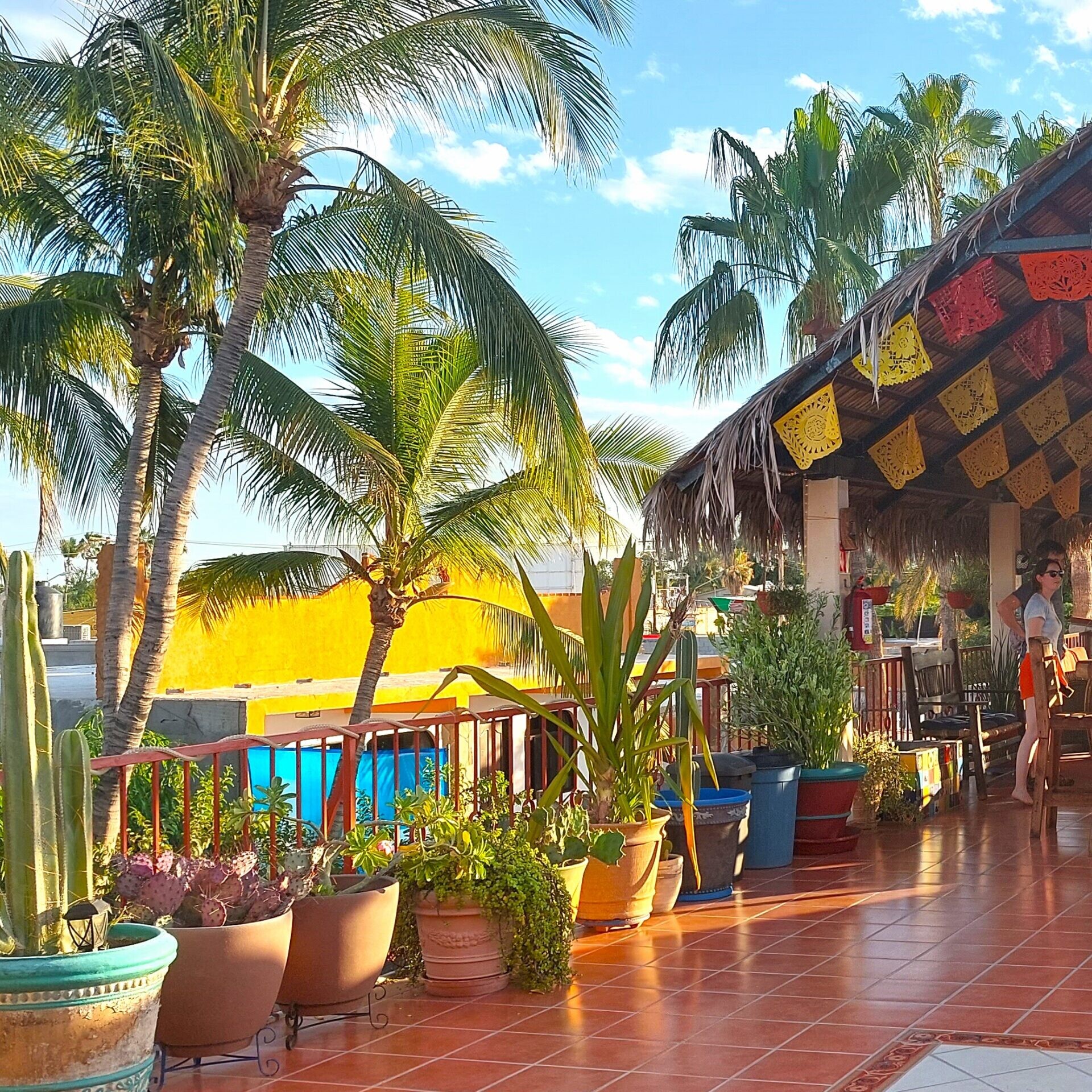 Atlantic Sea Kayaking - Atlantic Sea Kayaking